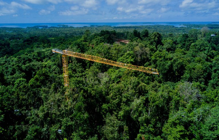 KAKOBA Canopy Crane | Papua New Guinea
